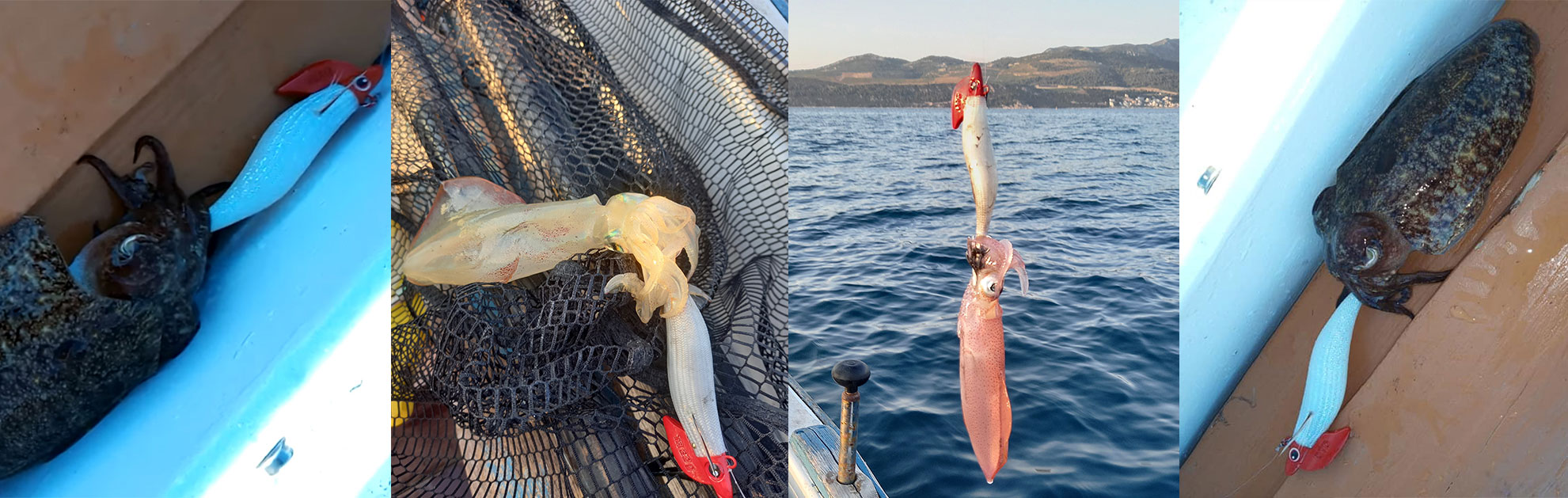 FULL COLOR egi TIP RUN | Egi squid jigs | DTD Shop